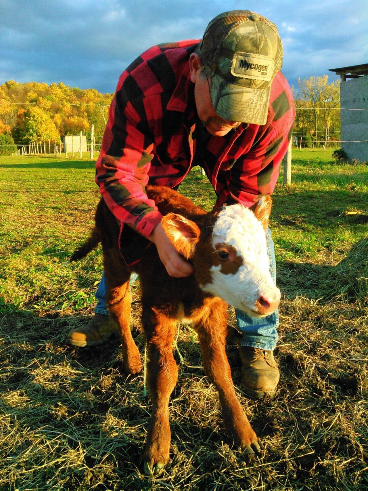 L.D. Oliver Seed Company | L.D. Oliver Seed Company