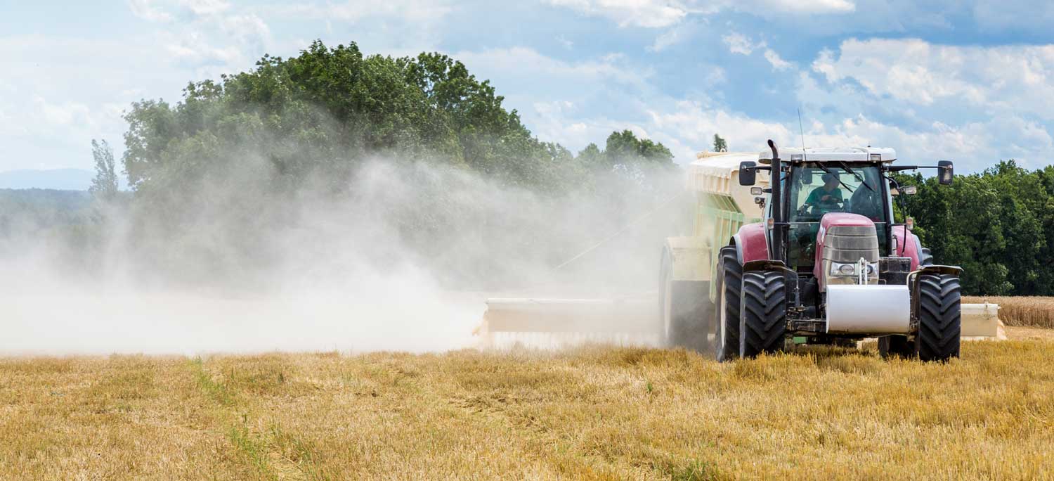 Catalog | L.D. Oliver Seed Company