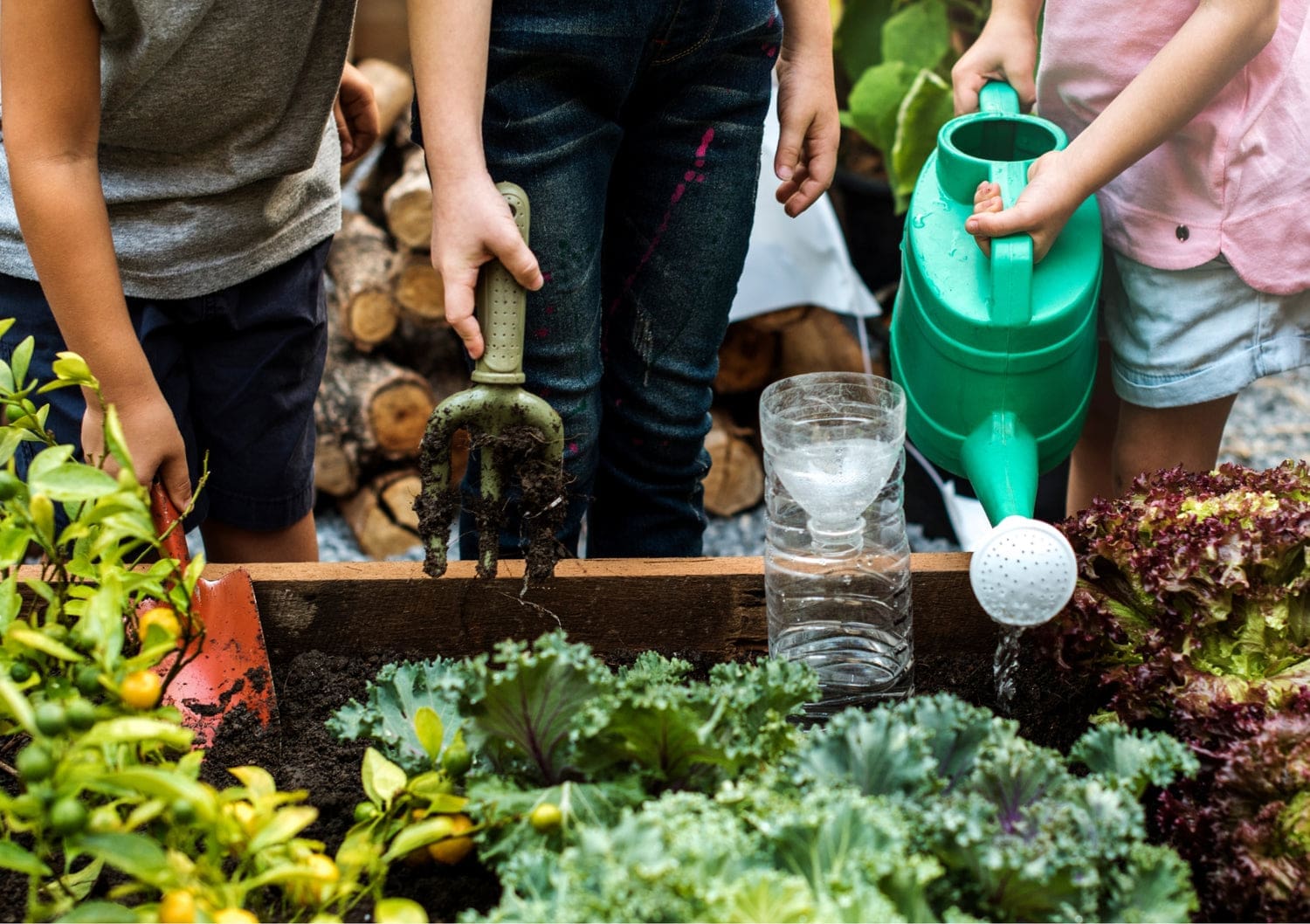 Coast of Maine | L.D. Oliver Seed Company